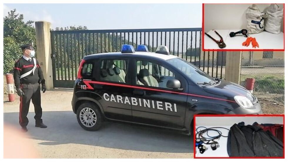 Mineo, nuovi arresti per reati predatori nelle aree rurali della ...