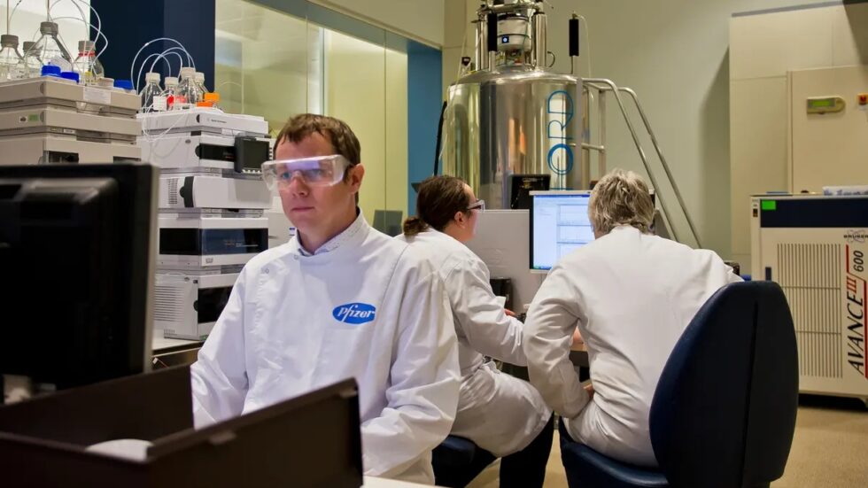 Pfizer, nuove posizioni aperte a Catania. Requisiti e come candidarsi ...