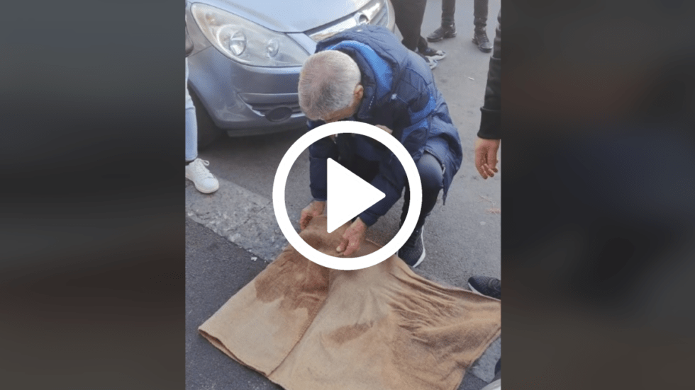 Cos'è e come si prepara una vaddeda di un portatore della Candelora ...